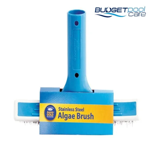 Aussie Gold Pool Algae Brush 10 inch/25cm (Stainless Steel Bristles) at ...