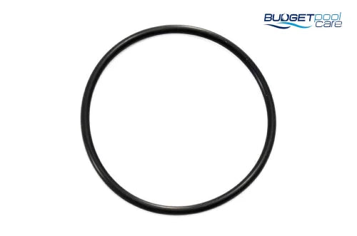 O RING TRI BARREL UNION 2PK at Budget Pool Care