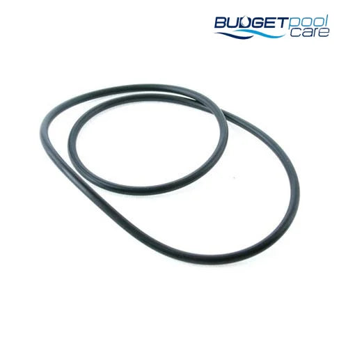 Paramount/Premier Pump Lid O Ring at Budget Pool Care