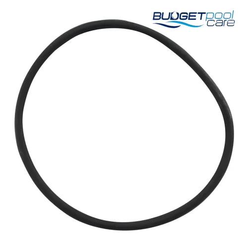 Quiptron Cartridge Filter Tank O'Ring at Budget Pool Care
